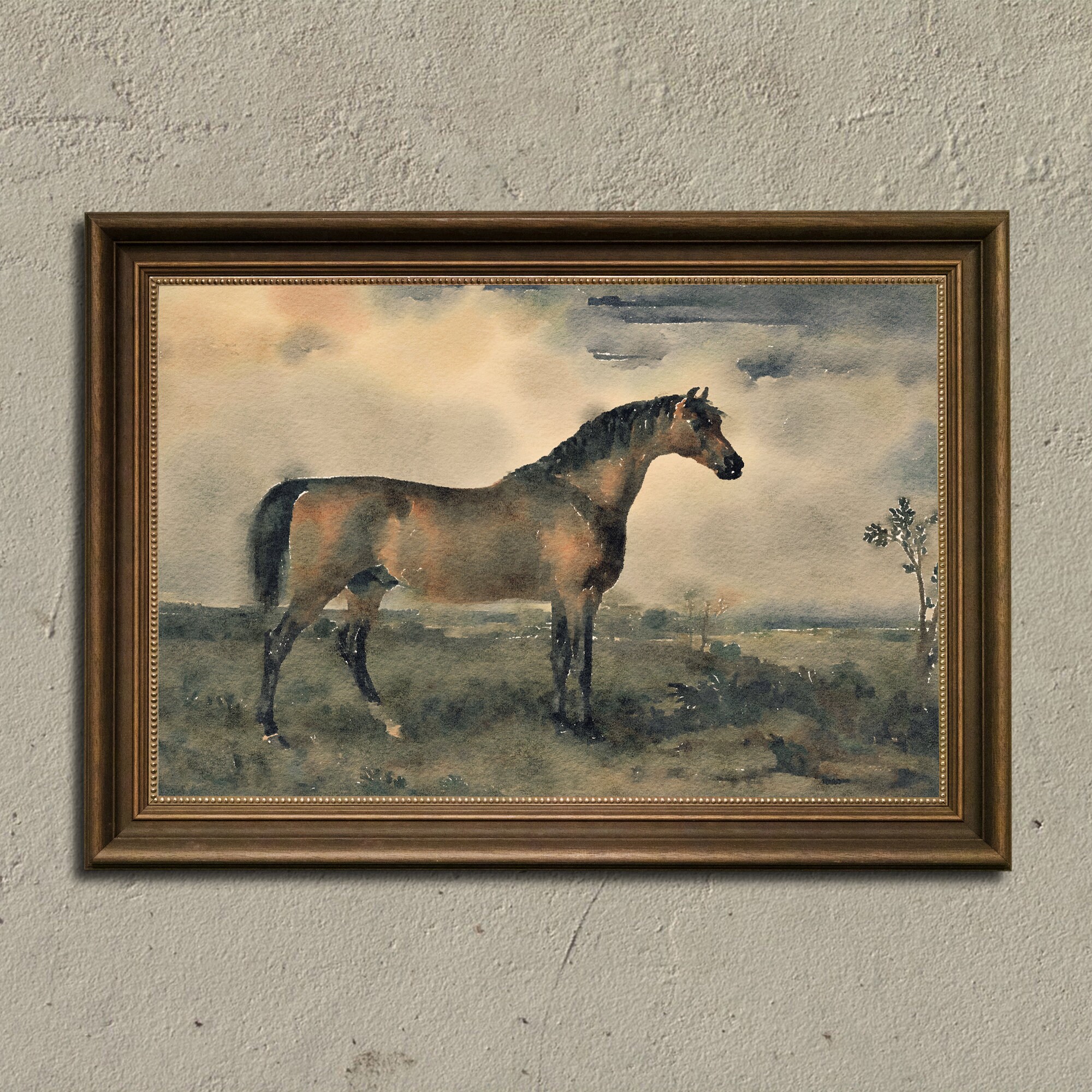 Antique Horse Portraits