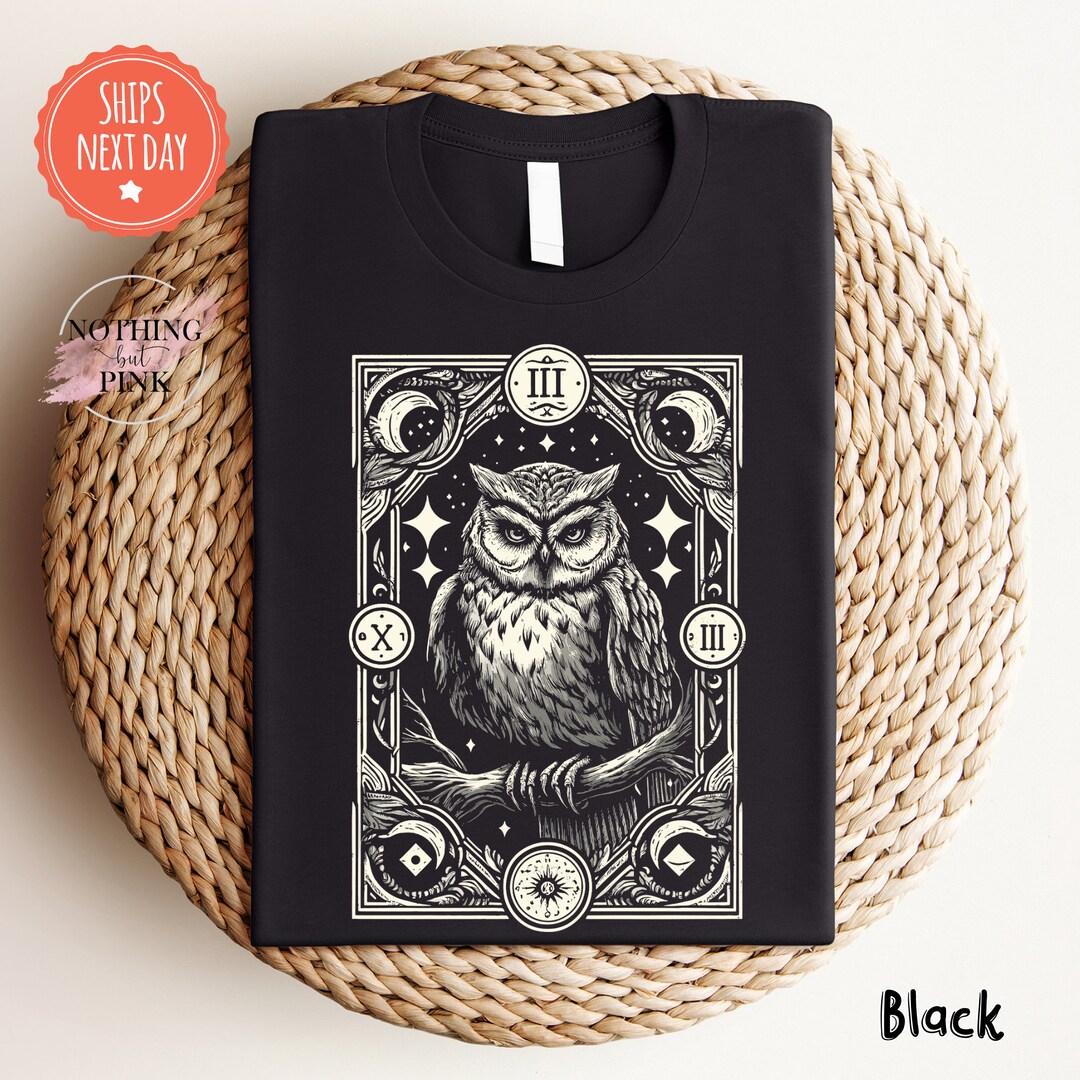 The Hermit Owl Tarot Shirt Dark Academia Shirt Gothic Grunge Tee Witchy ...