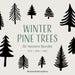 32 Winter Pine Trees Vector Bundle SVG EPS PNG Christmas Assets Instant ...