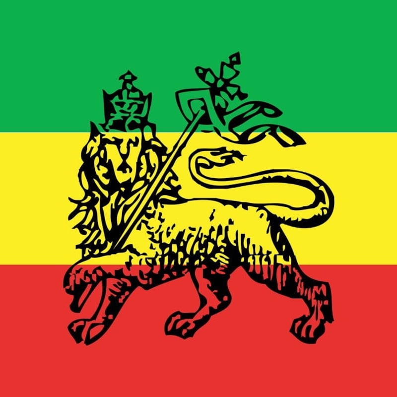 Car Accessories Rasta - Etsy UK