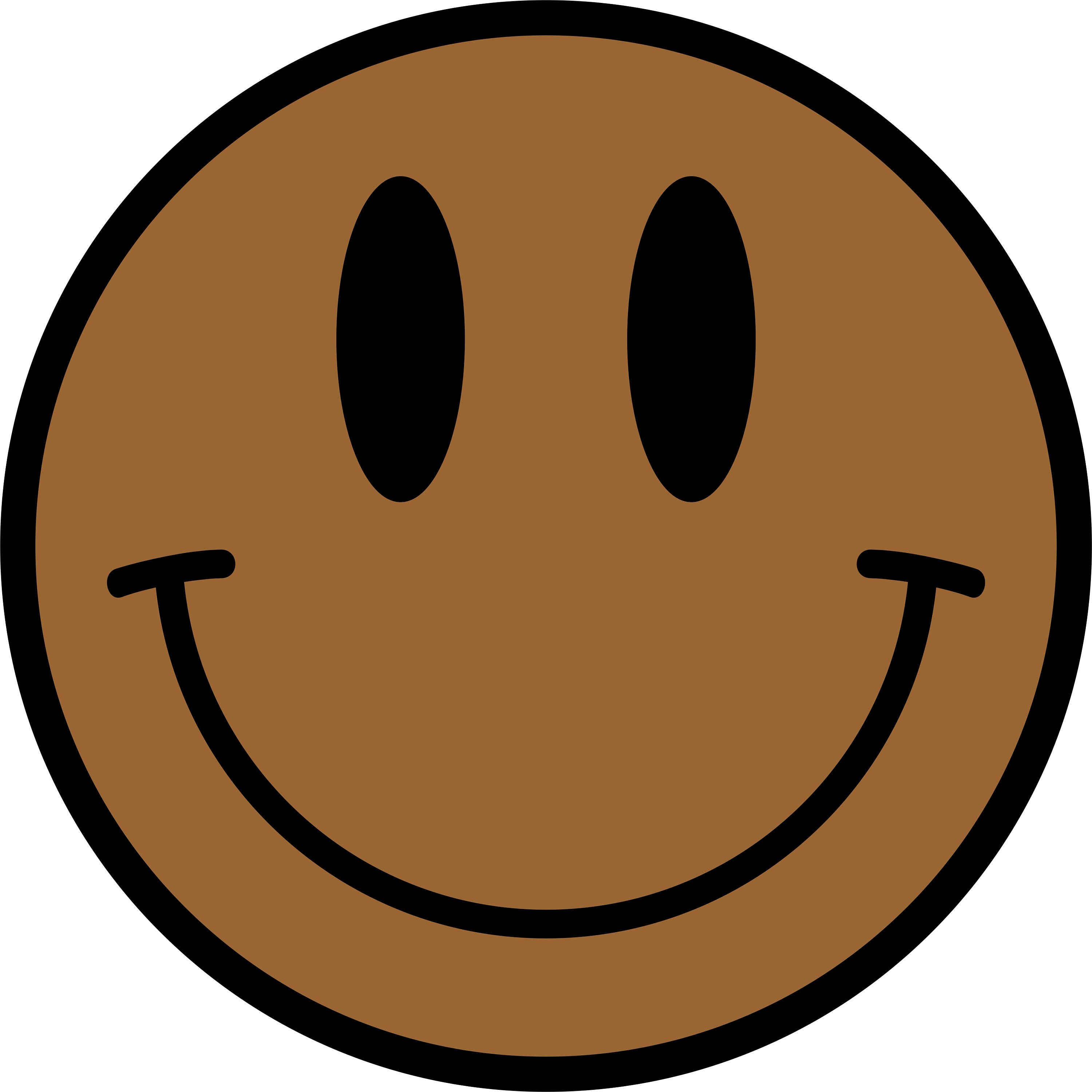 Stickers Decal 445mm / 17.5 Inches Happy Face Gloss Laminated Vinyl Car ...