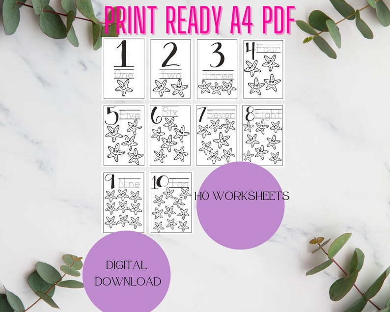 PRINT READY DIGITAL Download Starfish Colouring Number - Etsy
