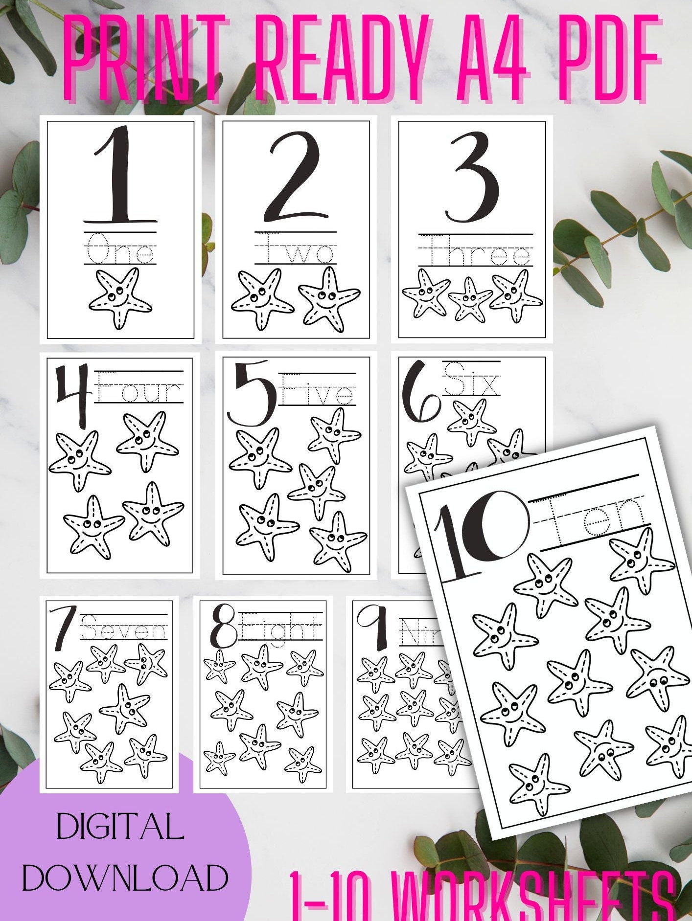 PRINT READY DIGITAL Download Starfish Colouring Number - Etsy
