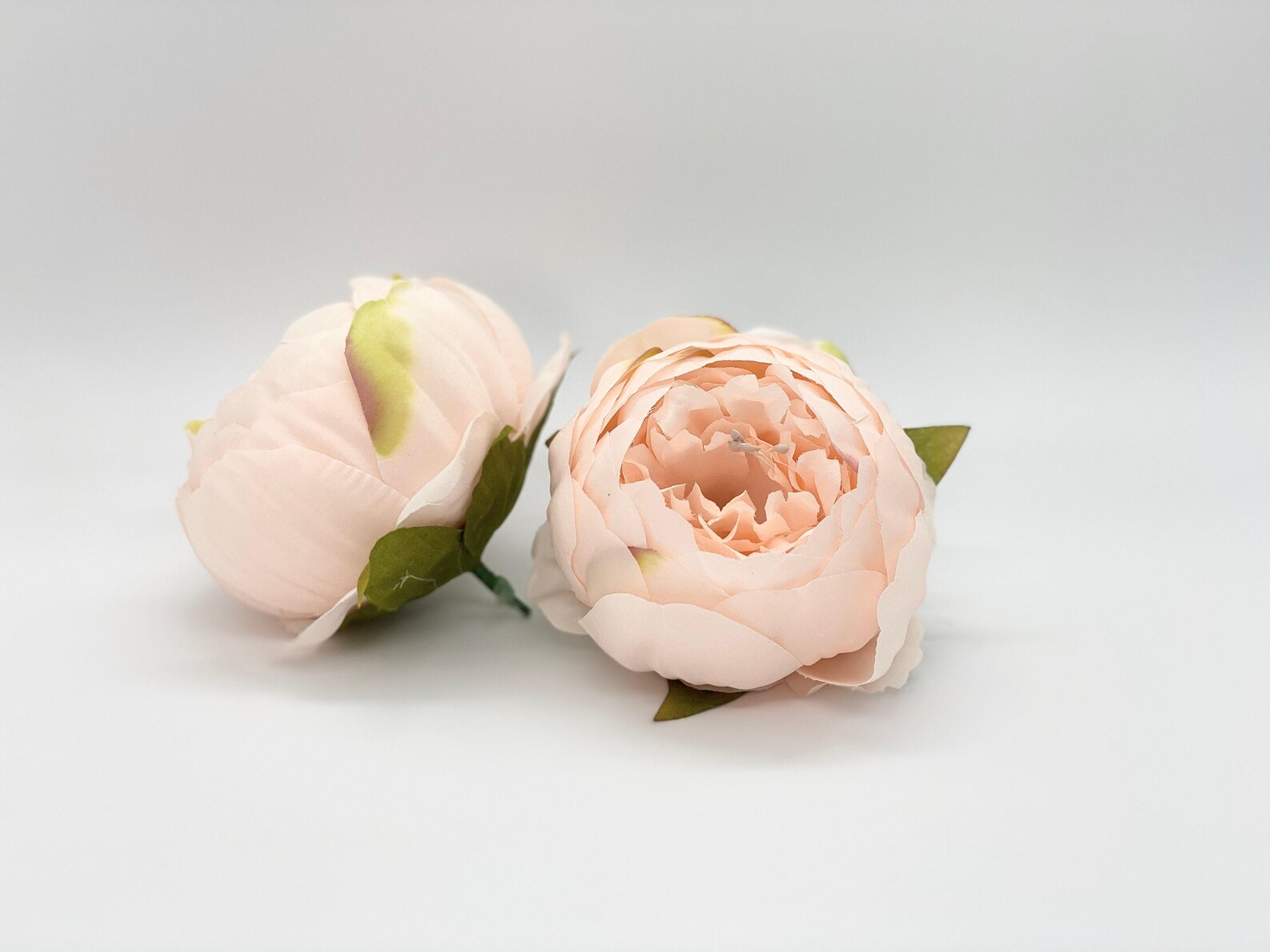 4" Double Peony in Pale Peachy Pink Closed Pink Peony Blush Peony ...