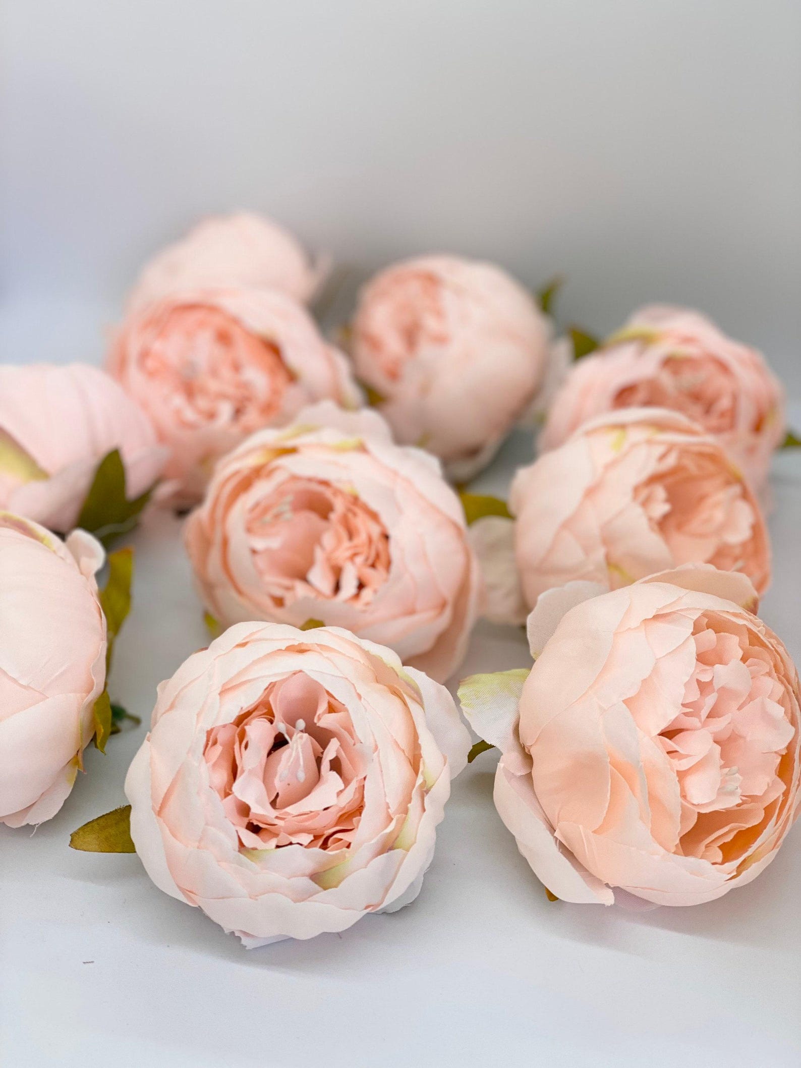 4" Double Peony in Pale Peachy Pink Closed Pink Peony Blush Peony ...