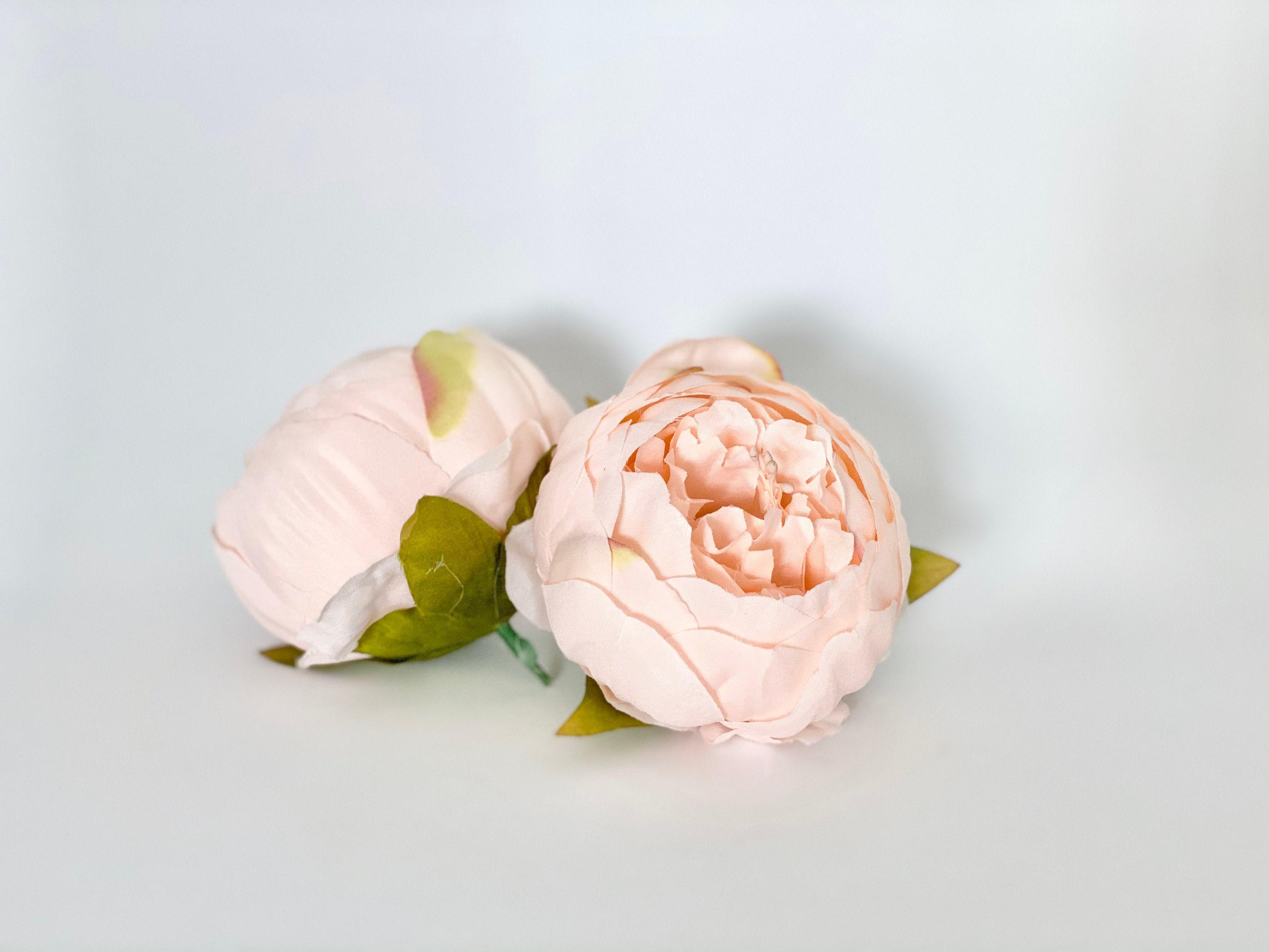 4" Double Peony in Pale Peachy Pink Closed Pink Peony Blush Peony ...