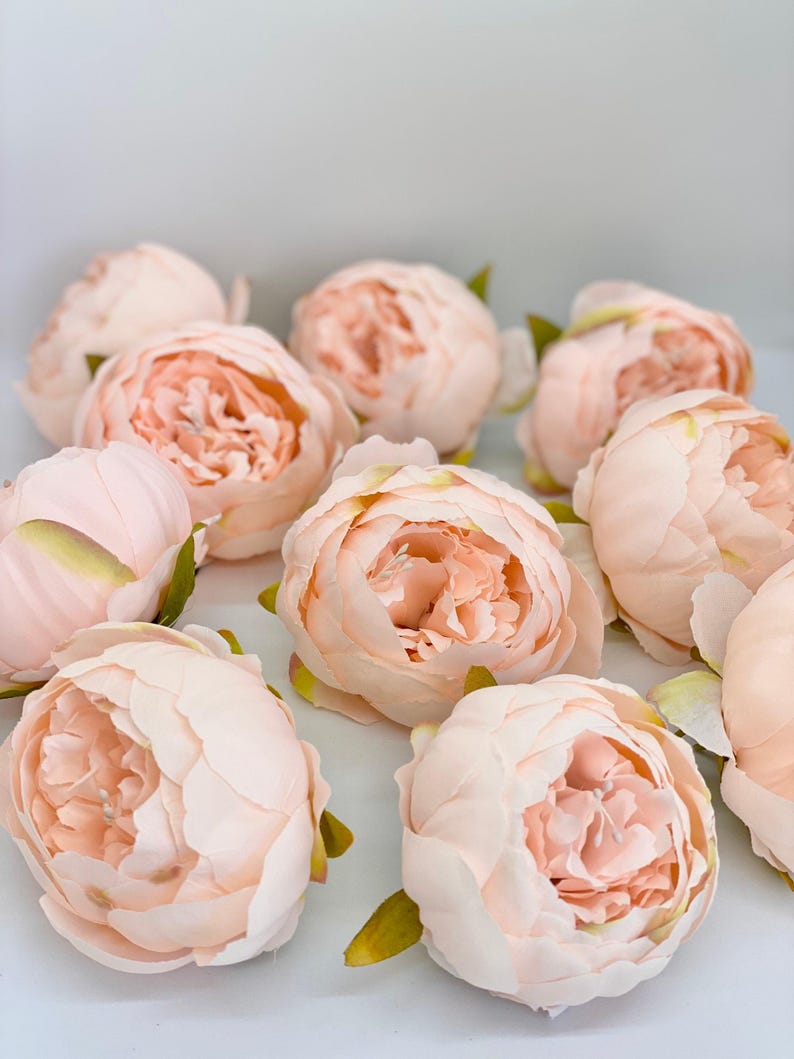4" Double Peony in Pale Peachy Pink Closed Pink Peony Blush Peony ...