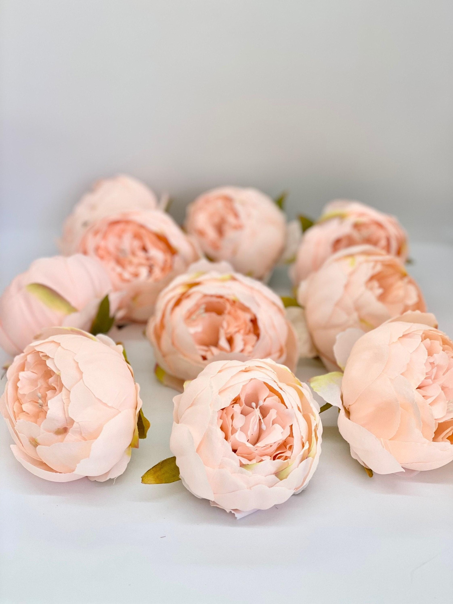 4" Double Peony in Pale Peachy Pink Closed Pink Peony Blush Peony ...
