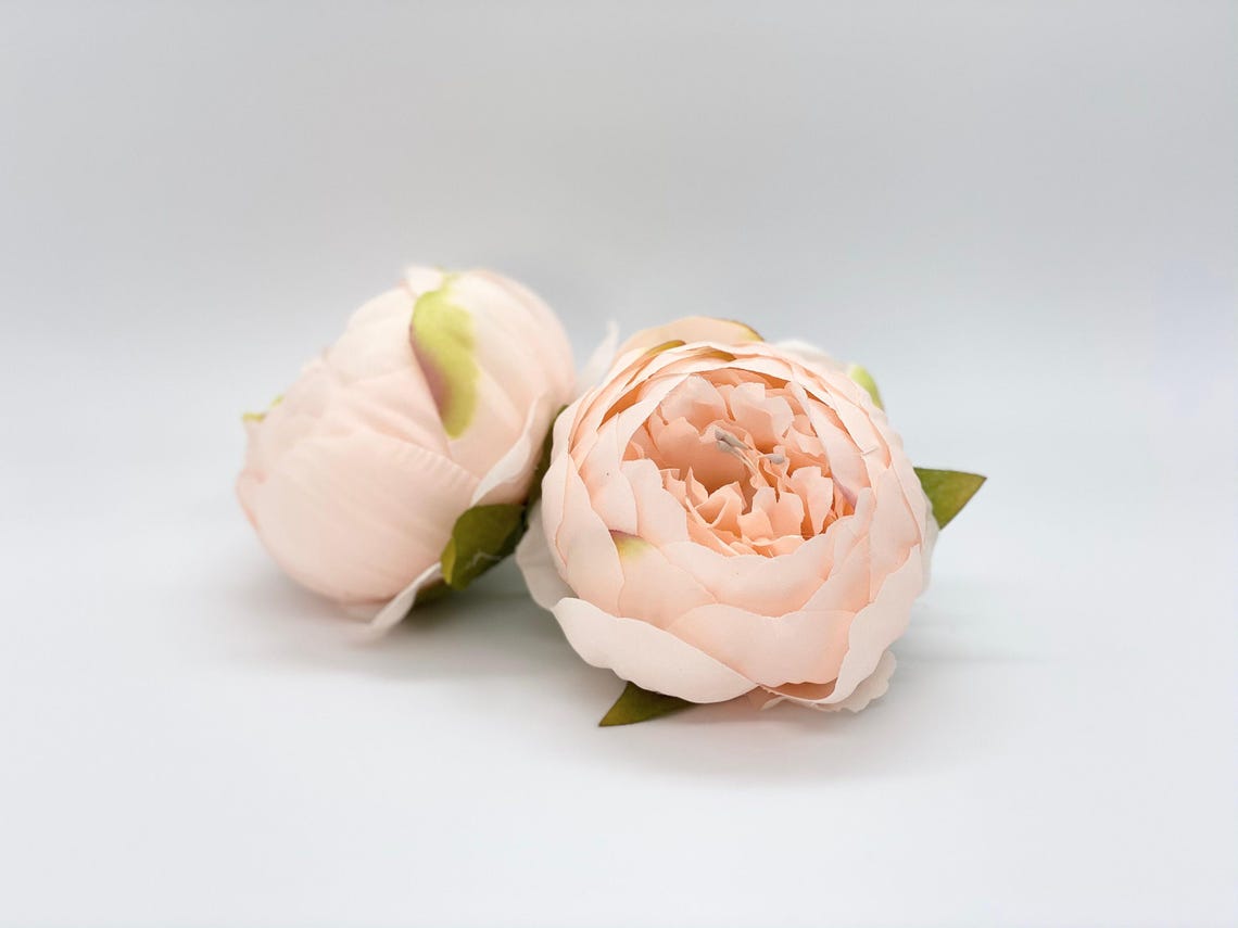 4" Double Peony in Pale Peachy Pink Closed Pink Peony Blush Peony ...