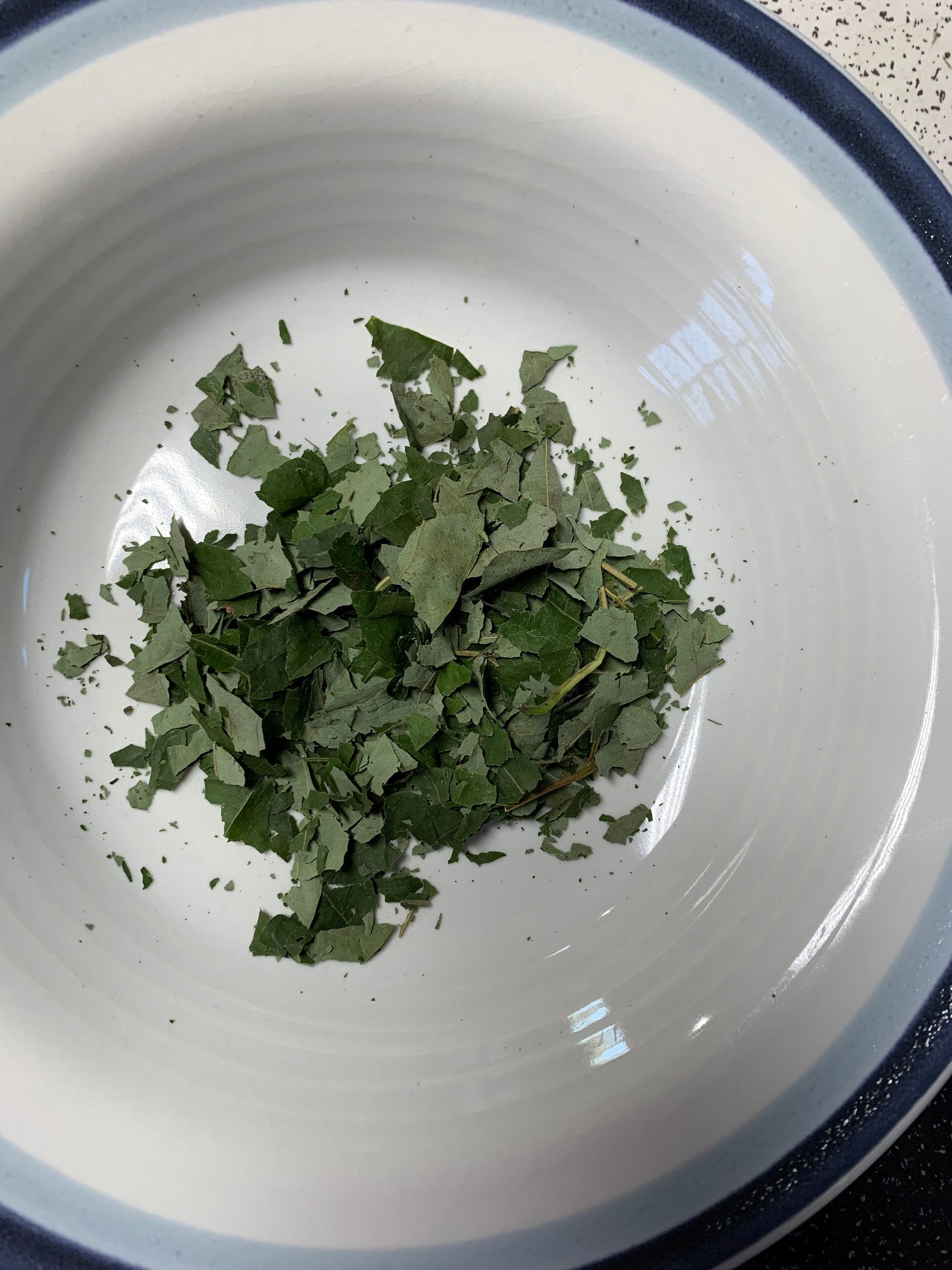 Sassafras Leaf Tea - Etsy