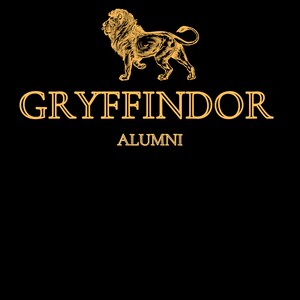 Harry Pottery, Gryffindor Alumni, Wizard, Harry Pottery Sweatshirt ...