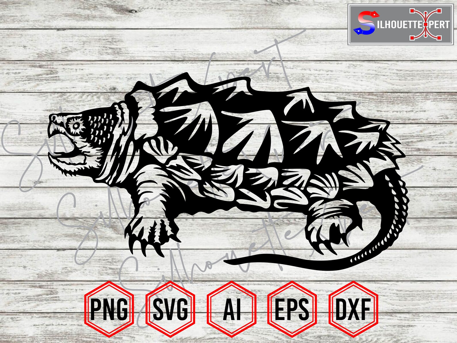 Alligator Snapping Turtle Turtle Svg Turtle Silhouette 1 - Etsy