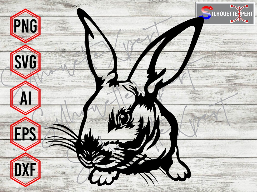 Cute Rabbit Svg, Bunny Svg, Rabbit Svg Cricut, CNC, Laser, Vinyl Cutter ...