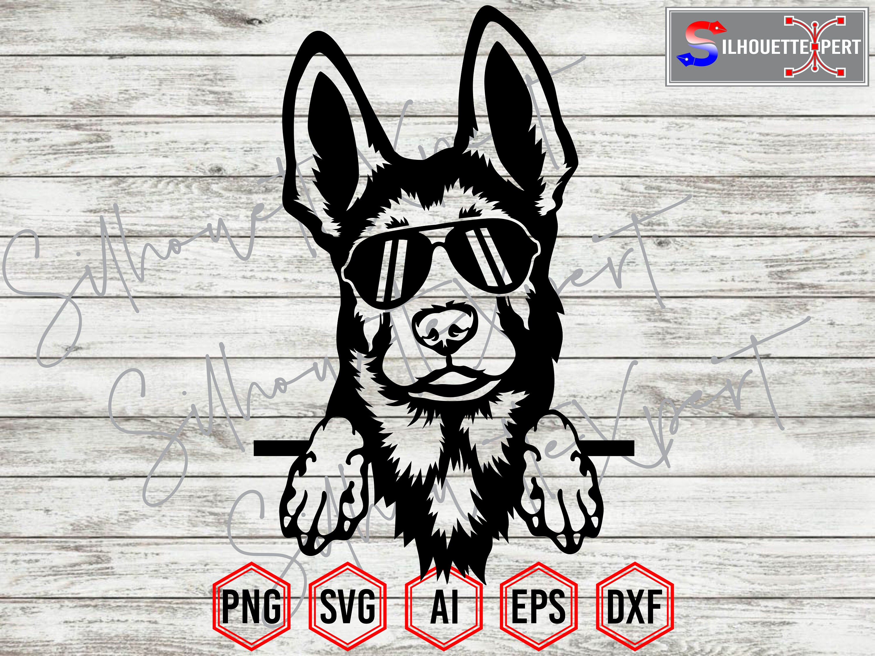 Cool Peeking Belgian Malinois Svg, Belgian Malinois Svg, Belgian K9 Svg ...