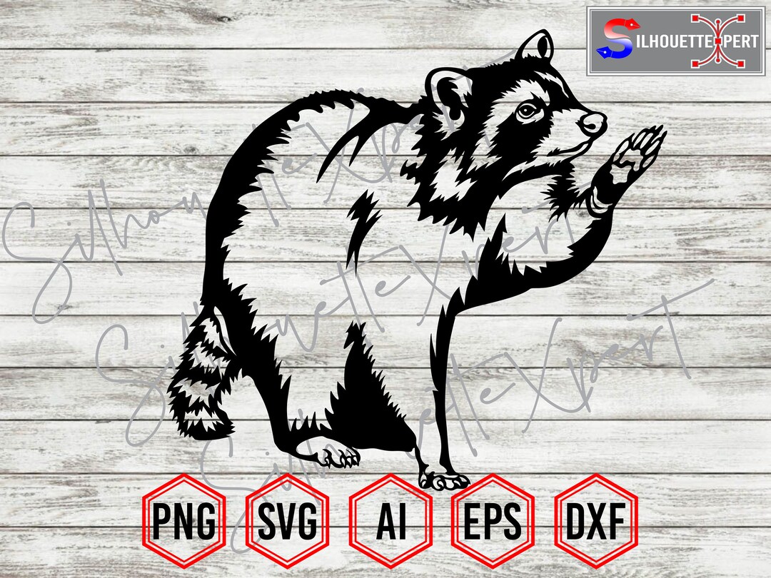 Silueta amigable de mapache 1, mapache svg, animal svg Cricut, CNC ...