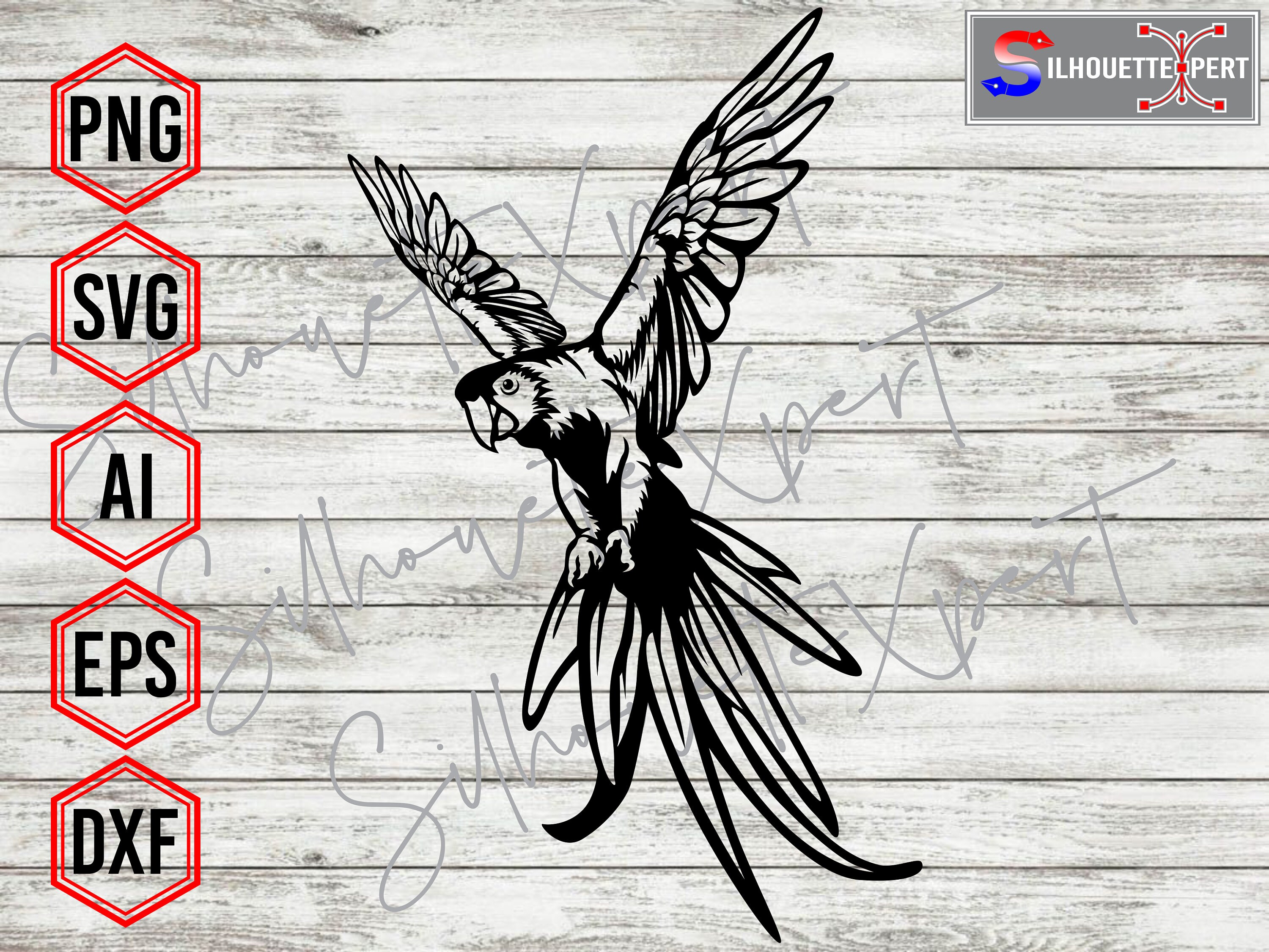 Parrot Svg, Flying Parrot Svg, Bird Portrait Svg, Pet Svg - Silhouette ...