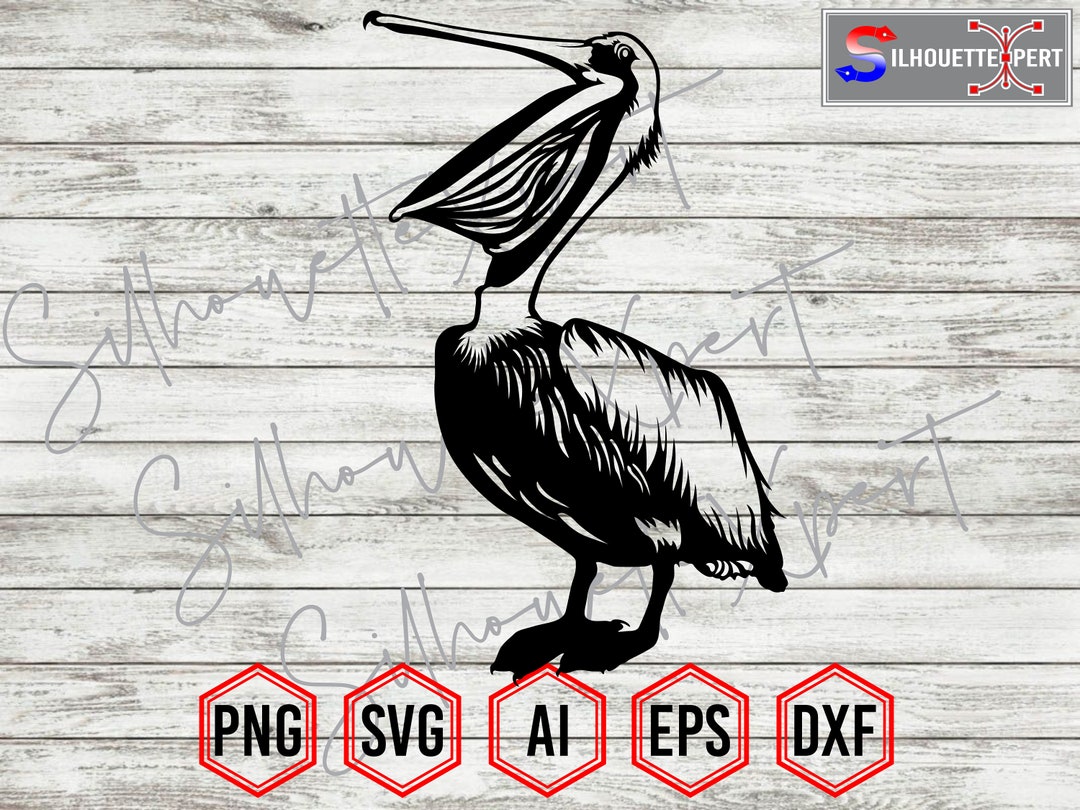 Adorable Pelican Svg, Pelican Svg, Pelican Silhouette - Clipart, Vector ...