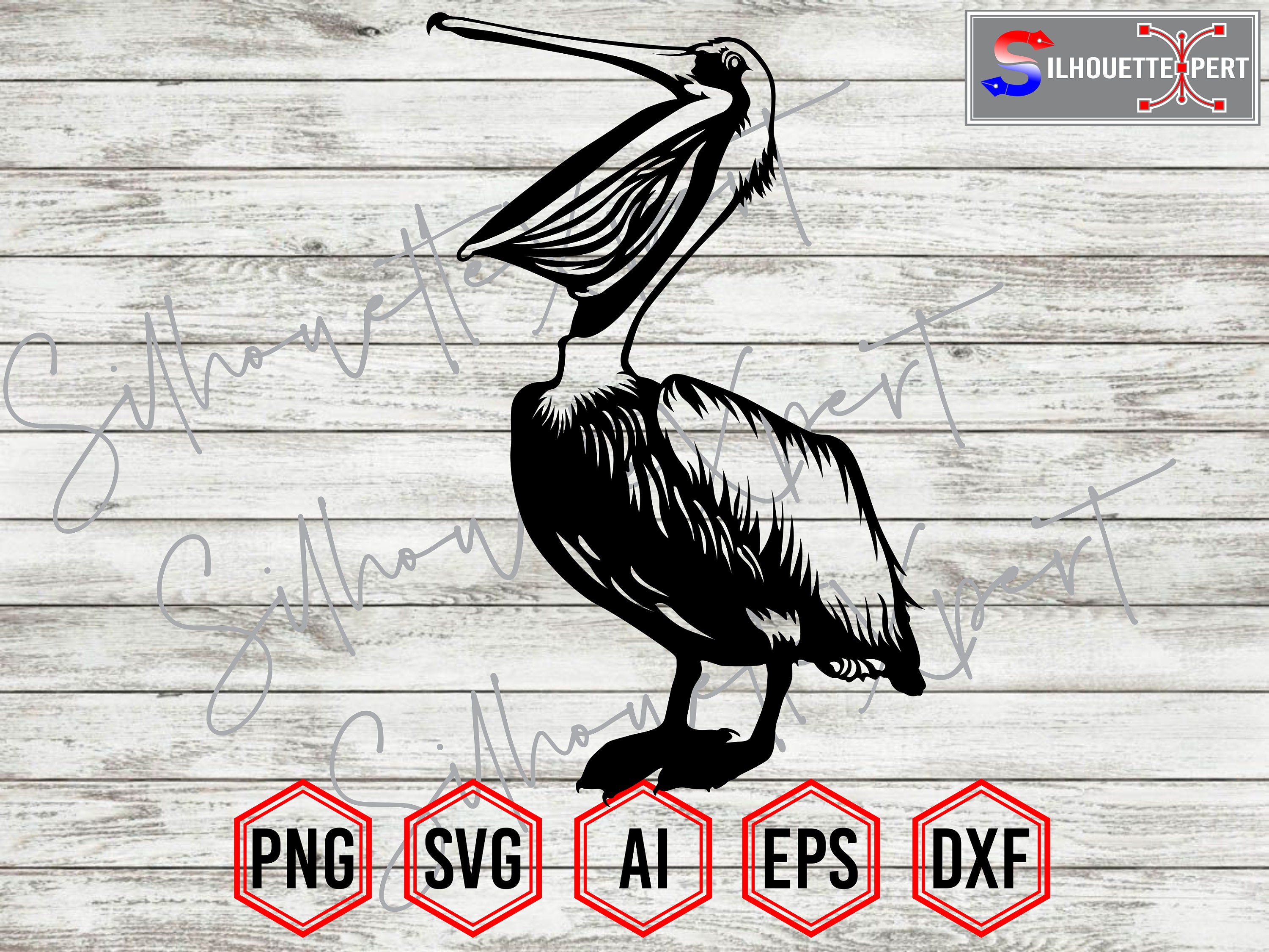 Adorable Pelican Svg, Pelican Svg, Pelican Silhouette - Clipart, Vector ...