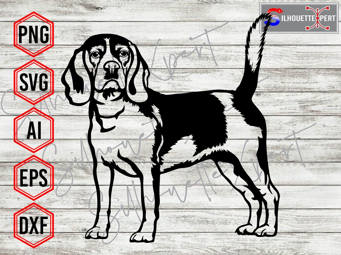 Beagle Svg Standing Beagle Svg Dog Svg Pet Svg Cricut - Etsy