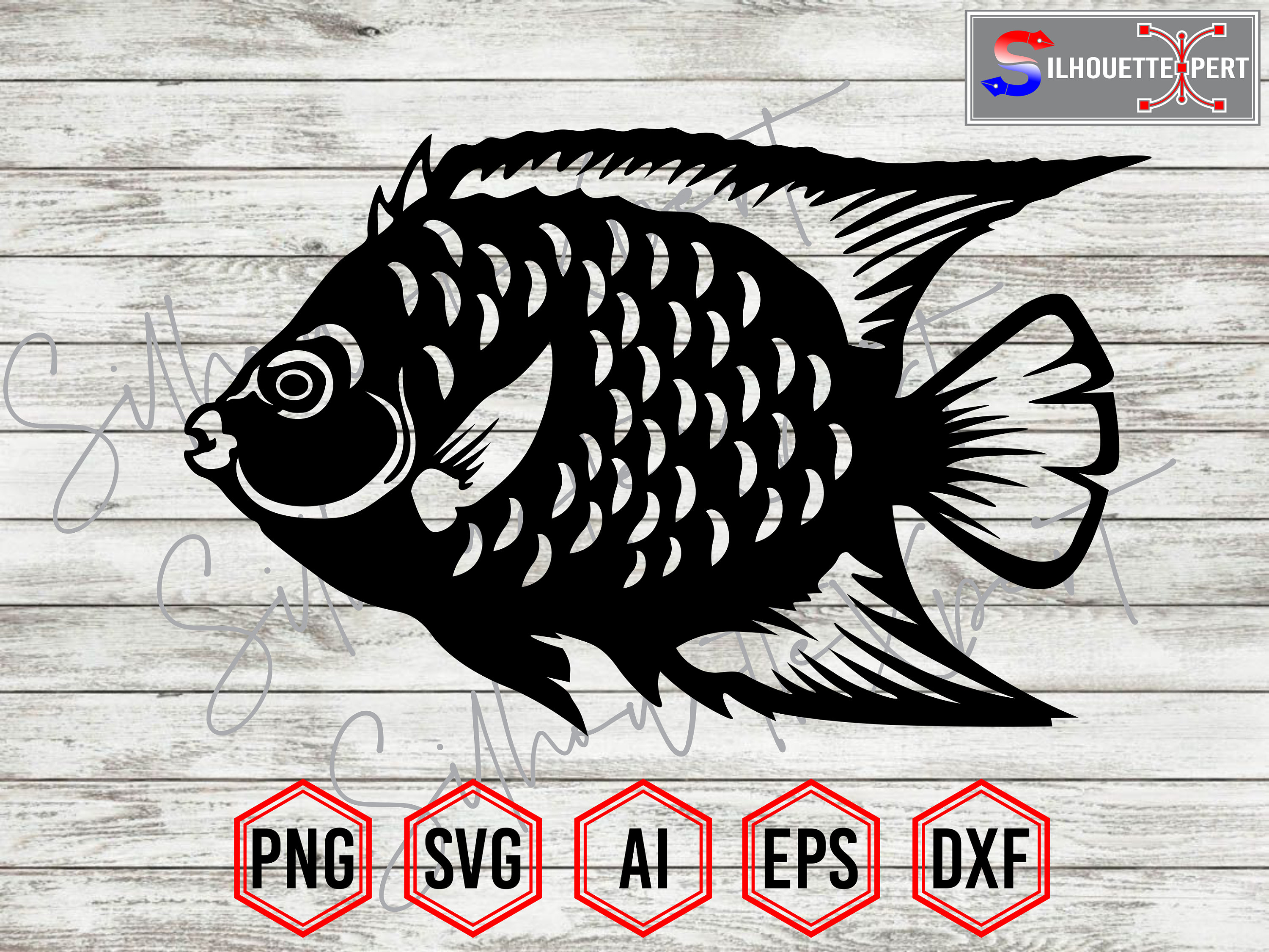 Queen Angel Fish Silhouette Aquarium Fish Svg Fish Svg Koi - Etsy