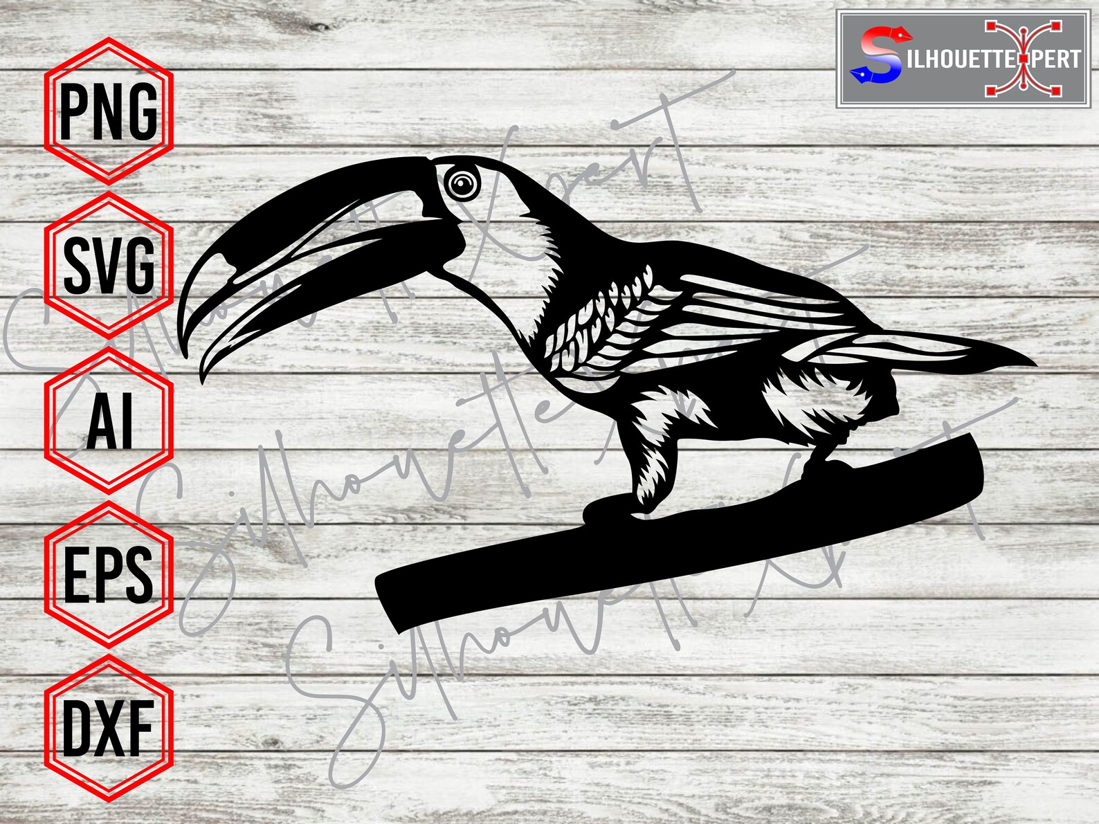 Toucan Svg Toucan Clipart Tropical Svg Toucan Artwork - Etsy