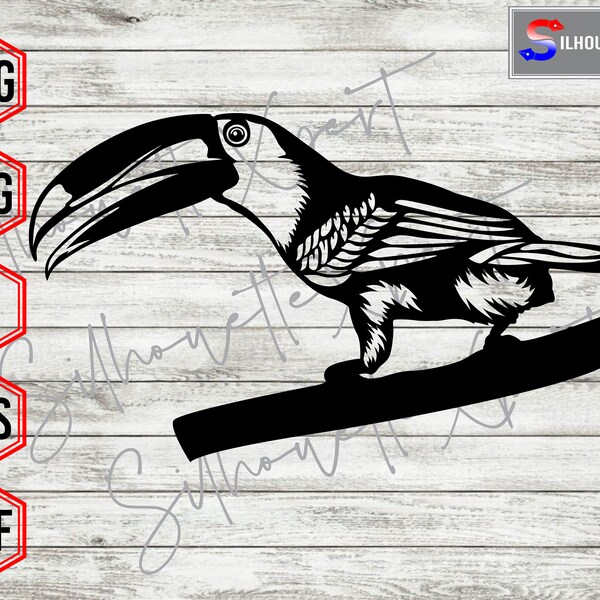 Toucan Svg - Etsy