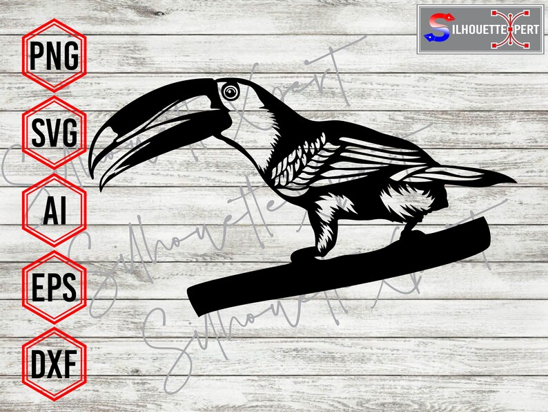 Toucan Svg Toucan Clipart Tropical Svg Toucan Artwork - Etsy