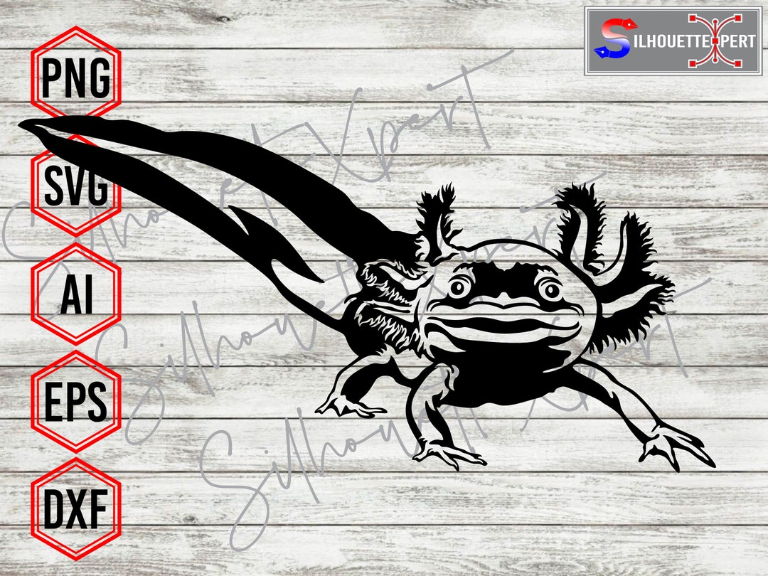Axolotl Svg Cute Axolotl Svg Clipart Silhouette Cricut Cnc Laser