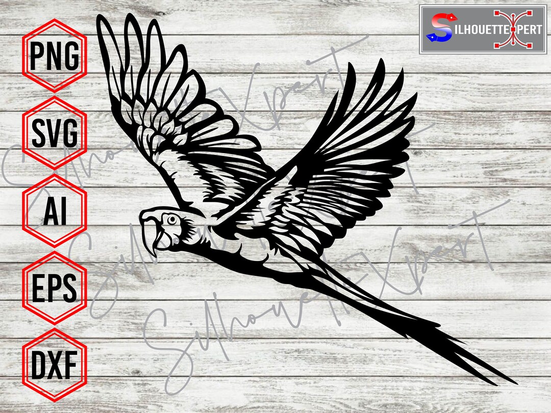 Adorable Parrot Svg, Flying Parrot Svg, Pet Svg, Macaw Svg - Silhouette ...