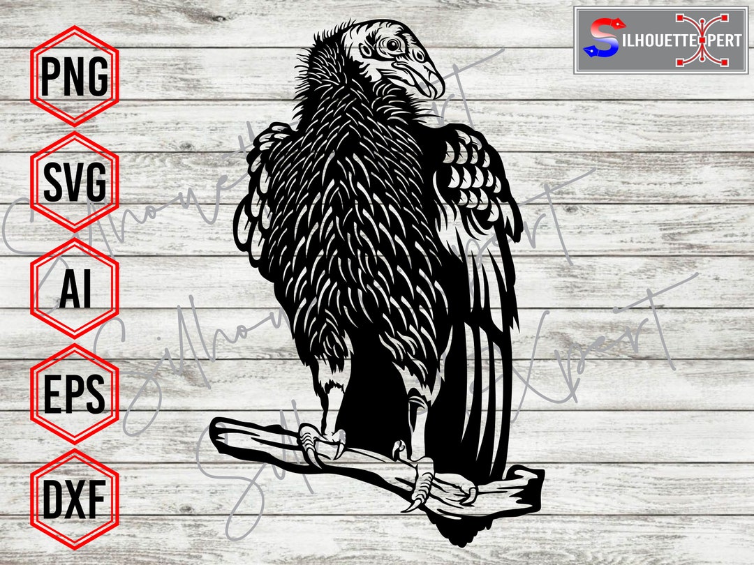 Condor Svg, Predator Bird Svg, Bird Svg, Animal Svg Clipart, Silhouette ...