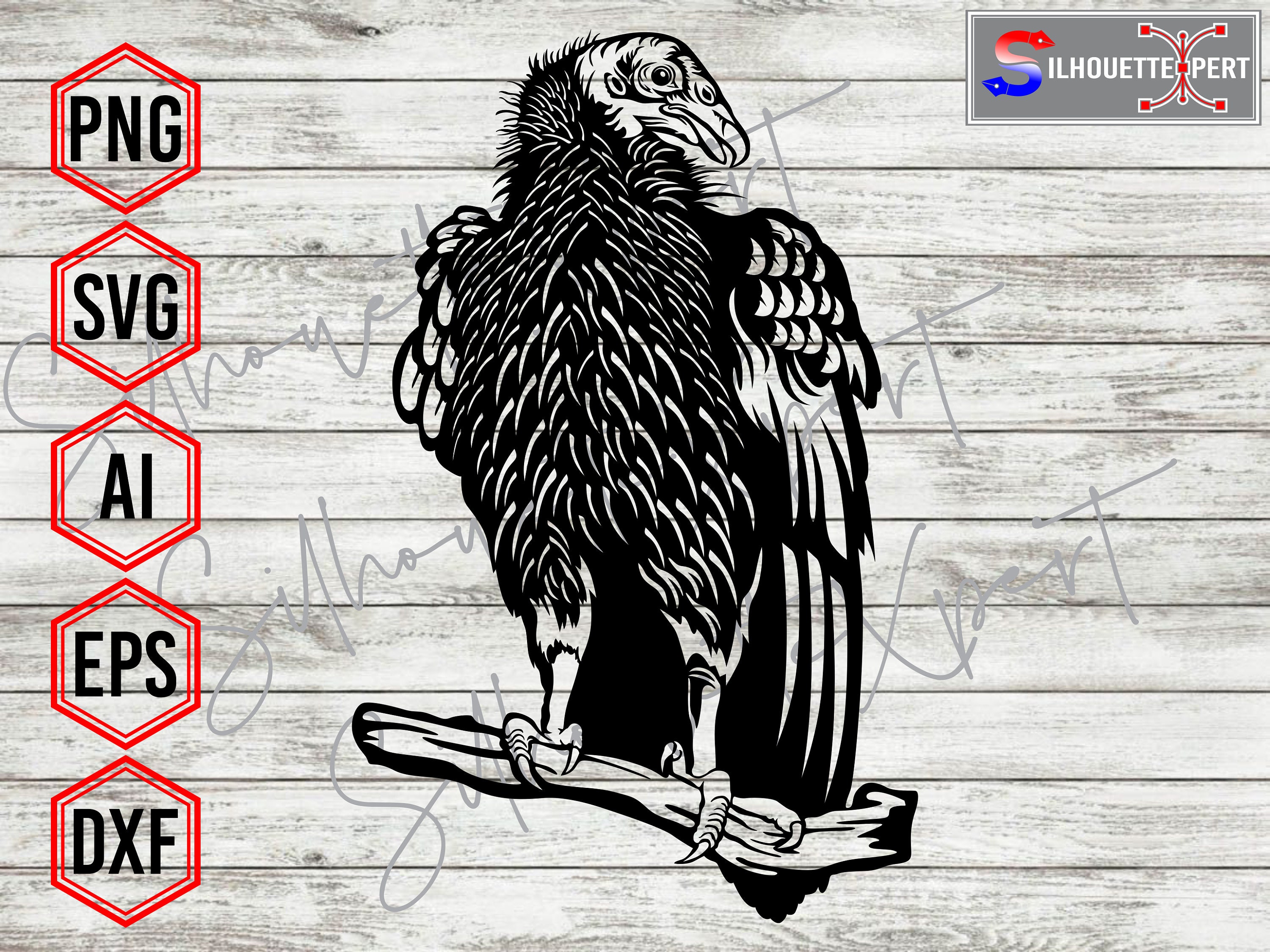 Condor svg, Predator Bird svg, Bird svg, Animal svg Clipart, Silhouette ...
