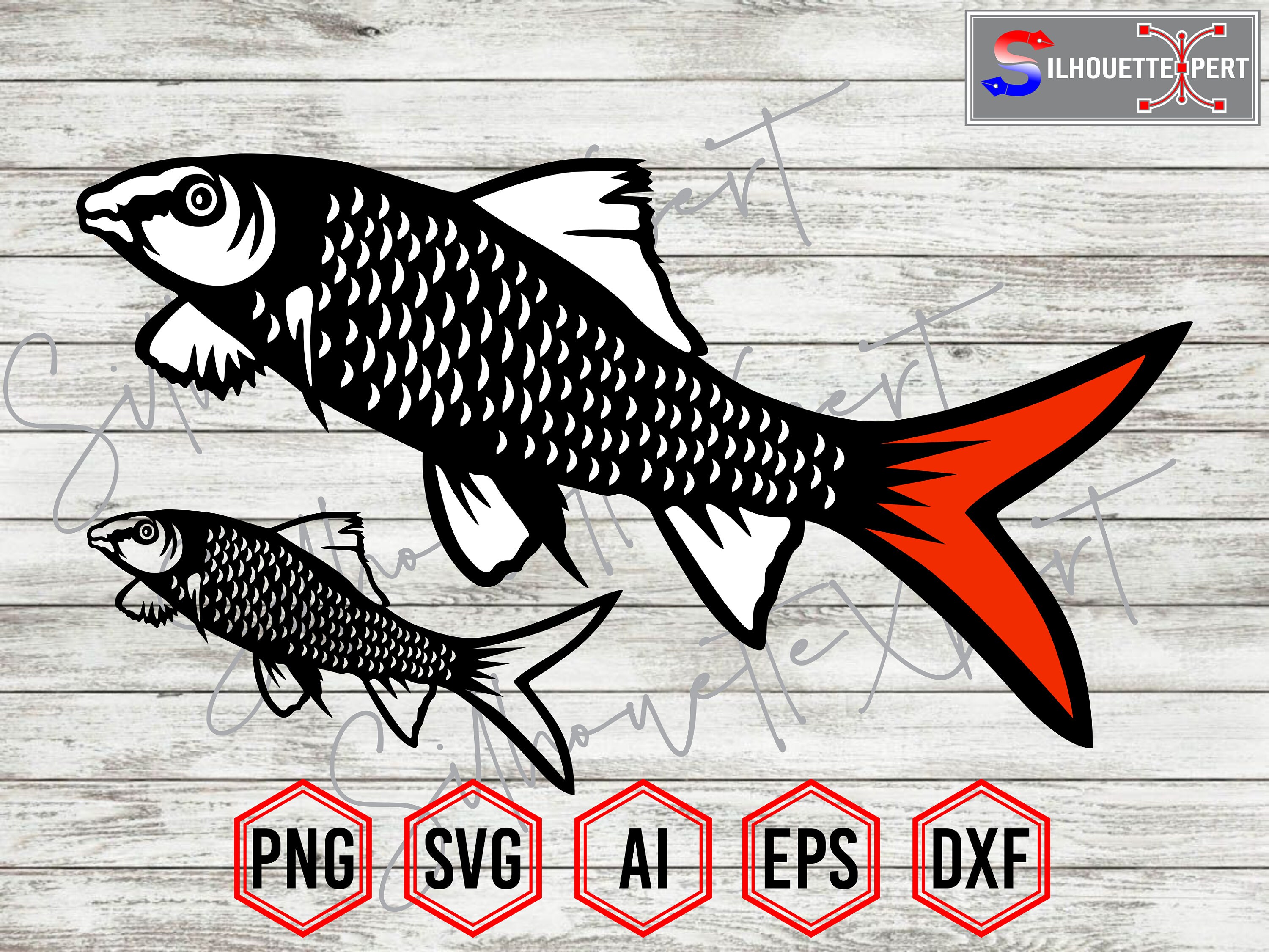 Red Tailed Black Shark Fish Svg Aquarium Fish Svg Koi Fish - Etsy