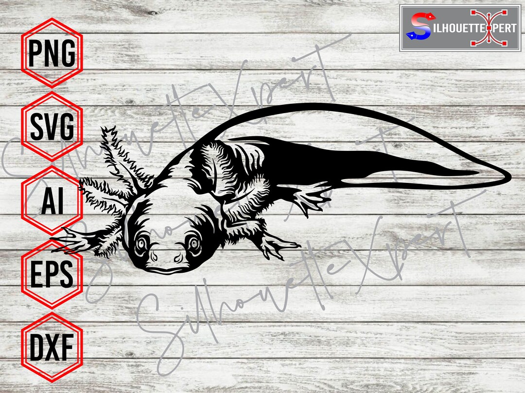 Axolotl Svg, Cute Axolotl Svg, Fish Svg Clipart, Silhouette, Cricut ...