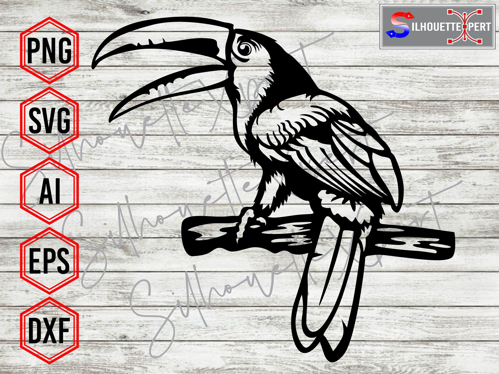 Tukan svg, tropische svg, Tukan Kunst - Clipart, Silhouette, Cricut ...