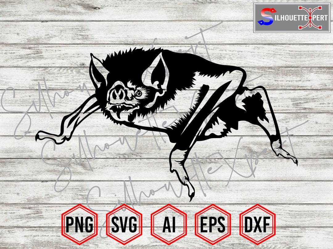 Crawling Bat Svg Peeking Bat Svg Scary Bat Svg Cricut - Etsy