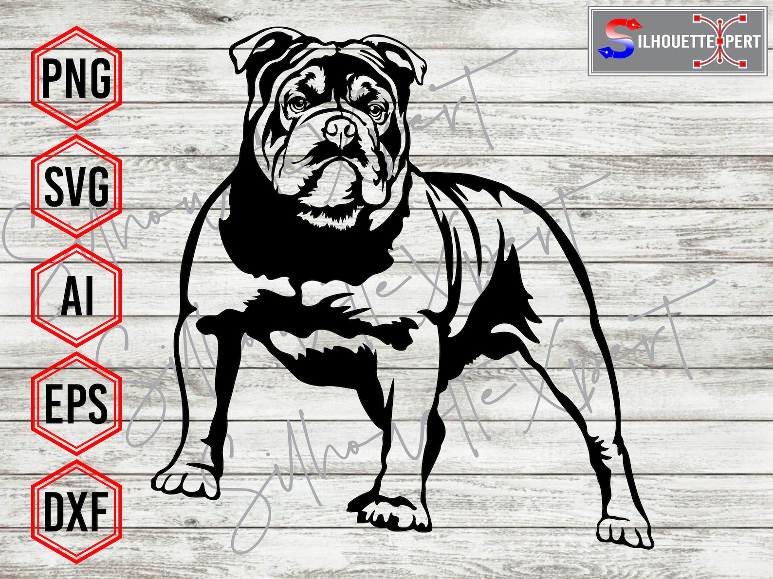 Standing English Bulldog Svg Bulldog Svg Dog Svg Pet Svg - Etsy Canada