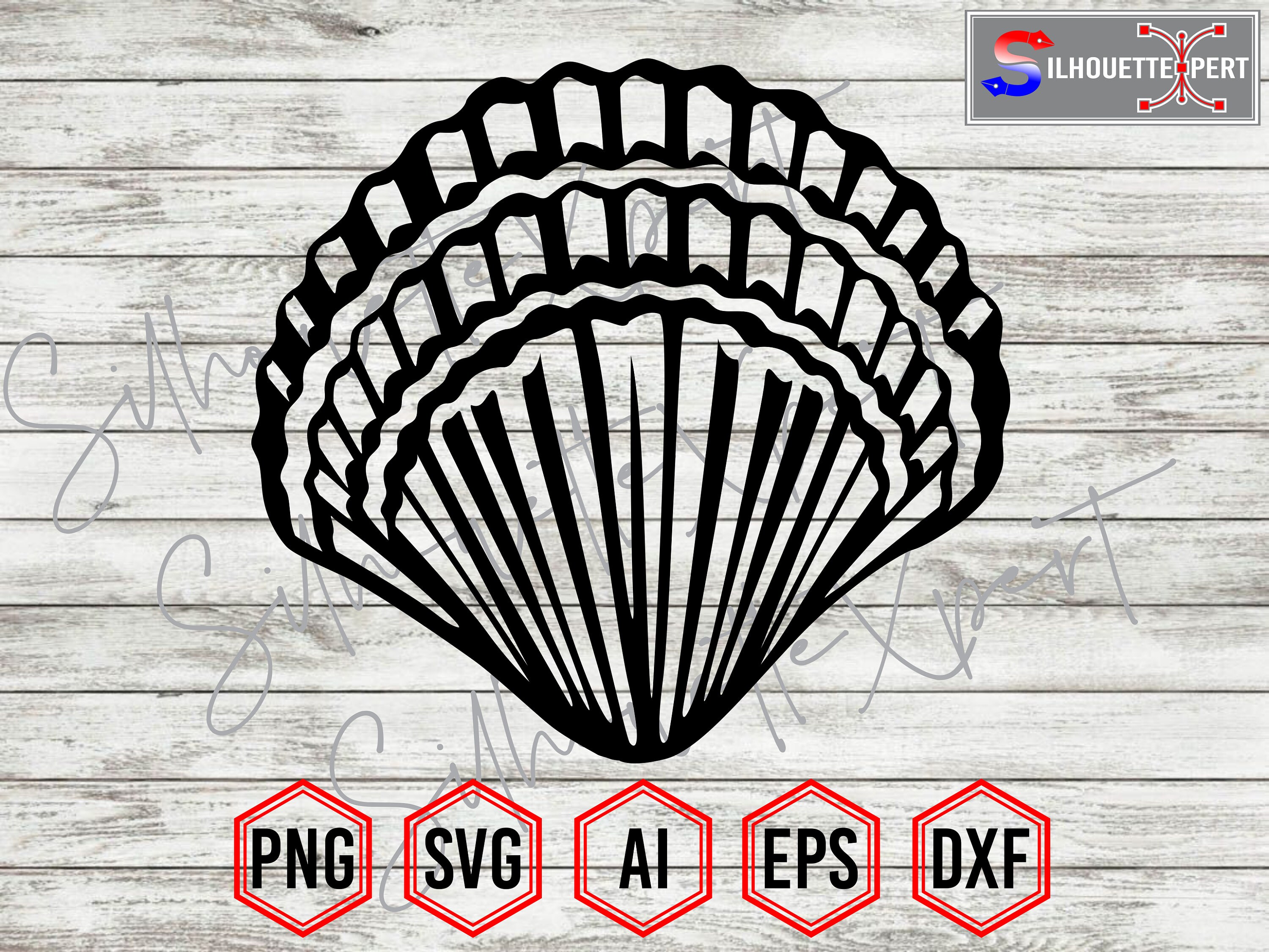 Shell Silhouette Oyster Shell Svg Shell Svg Clipart - Etsy