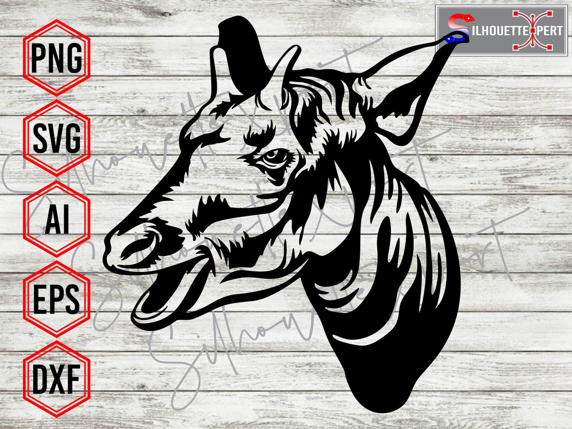 Okapi Svg Okapi Head Svg Okapi Face Svg Horse Svg Animal - Etsy