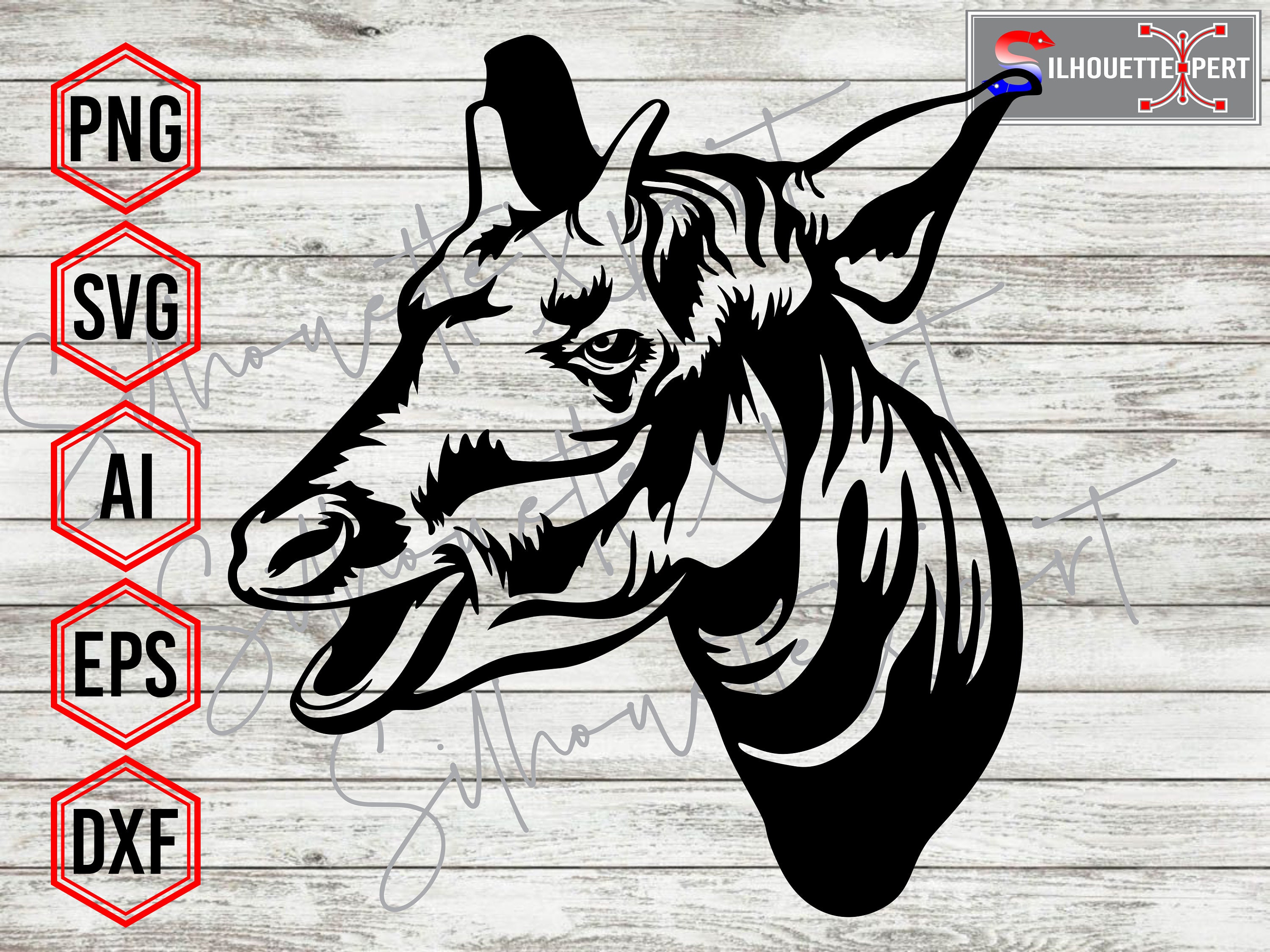 Okapi Svg Okapi Head Svg Okapi Face Svg Horse Svg Animal - Etsy