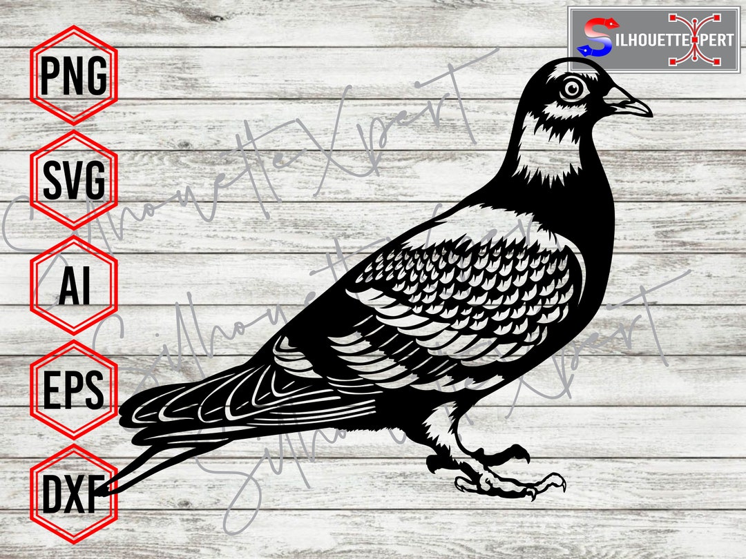 Pigeon Svg, Standing Pigeon Svg, Bird Svg - Clipart, Silhouette, Cricut ...