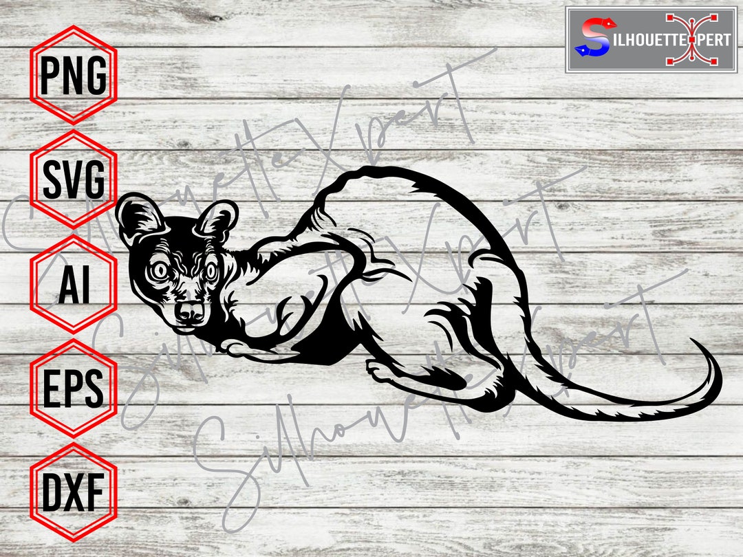 Buy Crawling Fossa Svg, Fossa Head Svg, Animal Svg, Wildlife Svg ...