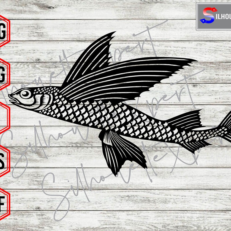 Flying Fish Print - Etsy