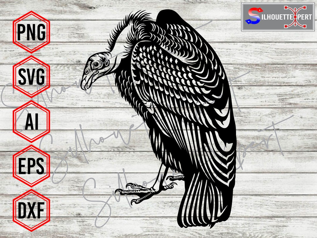 Condor Svg, Predator Bird Svg, Bird Svg, Animal Svg, Condor Vector ...