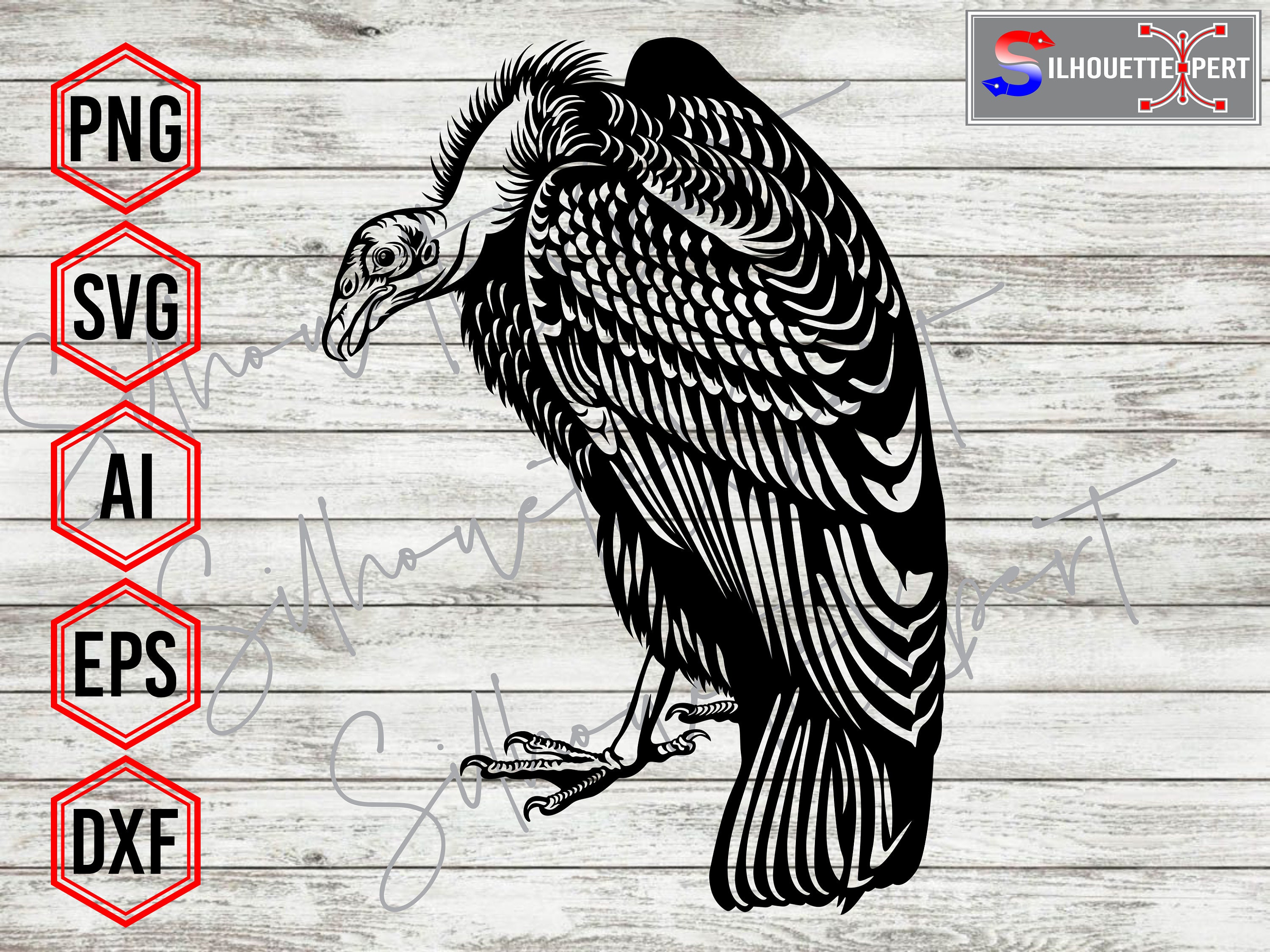 Condor Svg, Predator Bird Svg, Bird Svg, Animal Svg, Condor Vector ...