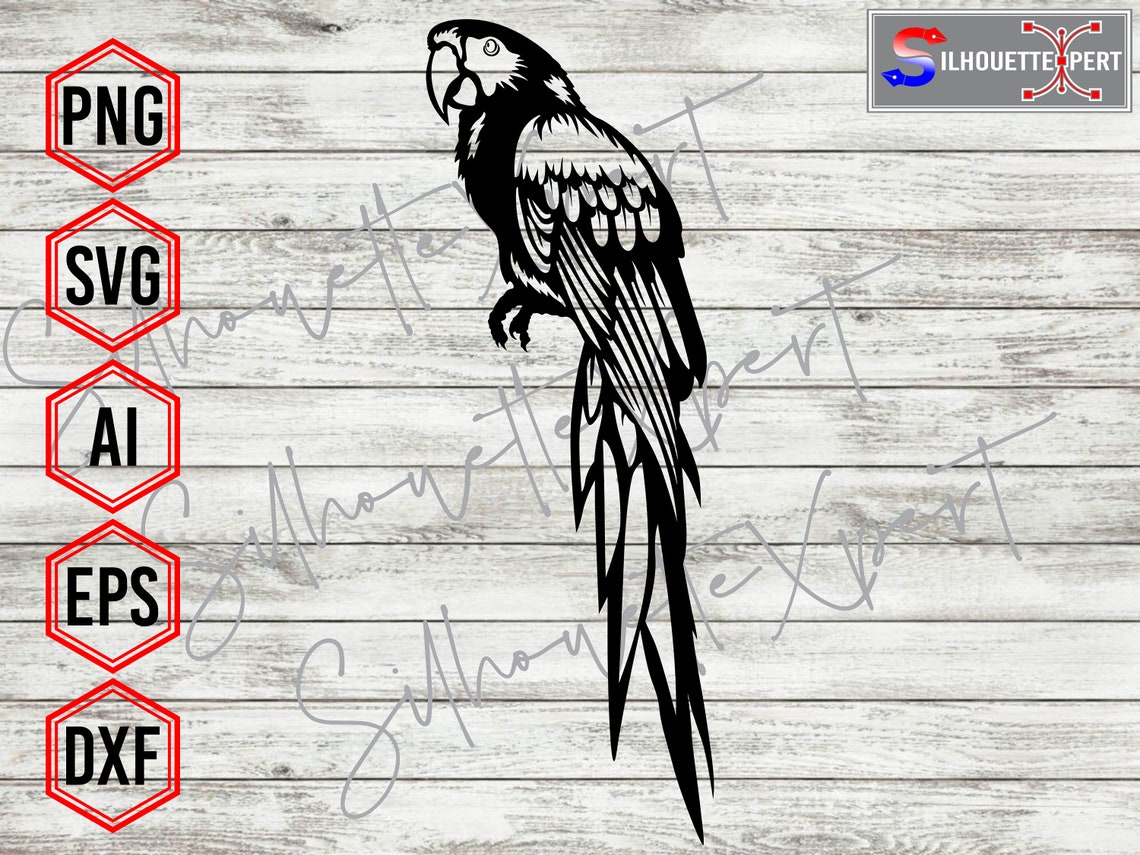 Adorable Parrot Svg Bird Portrait Svg Pet Svg Macaw Svg - Etsy