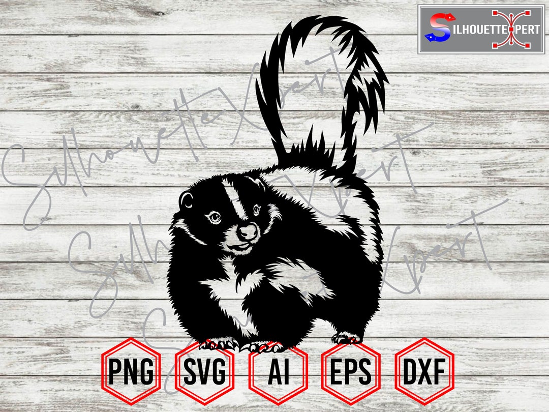 Skunk Svg, Skunk Silhouette, Skunk Png - Vector, Cameo, Cricut, CNC ...