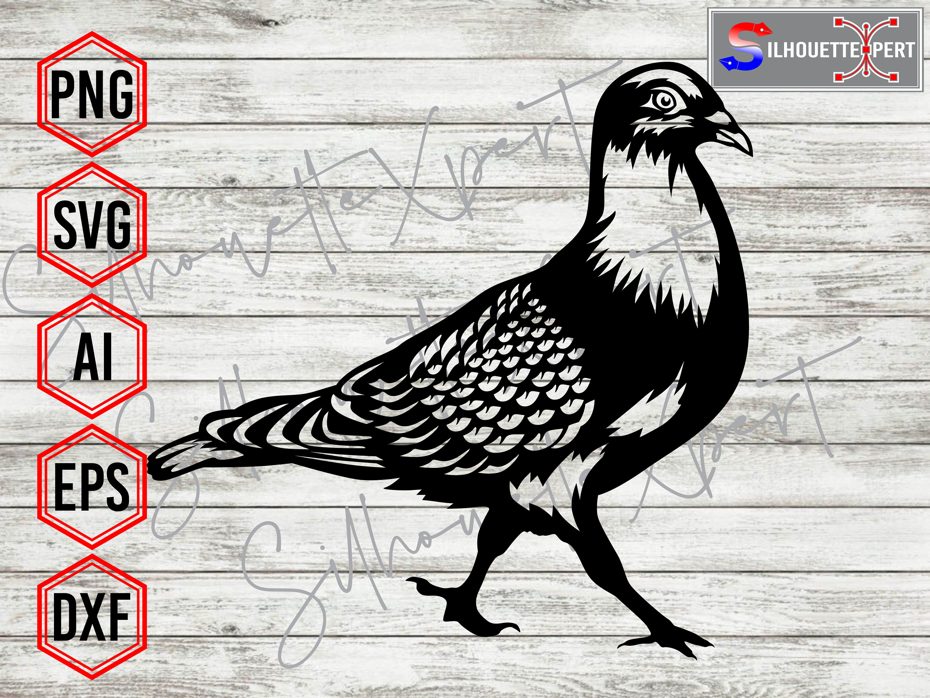 Walking Pigeon Svg, Pigeon Svg, Pigeon Vector - Clipart, Silhouette ...