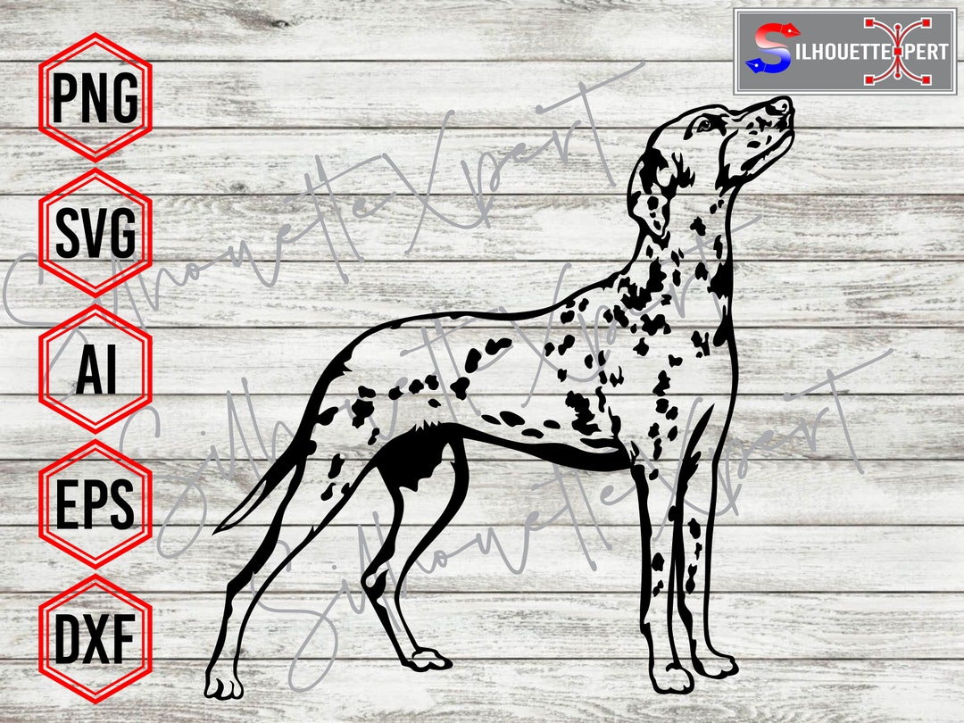 Perro dálmata svg, Dálmata de pie svg, Mascota svg, Cachorros svg ...