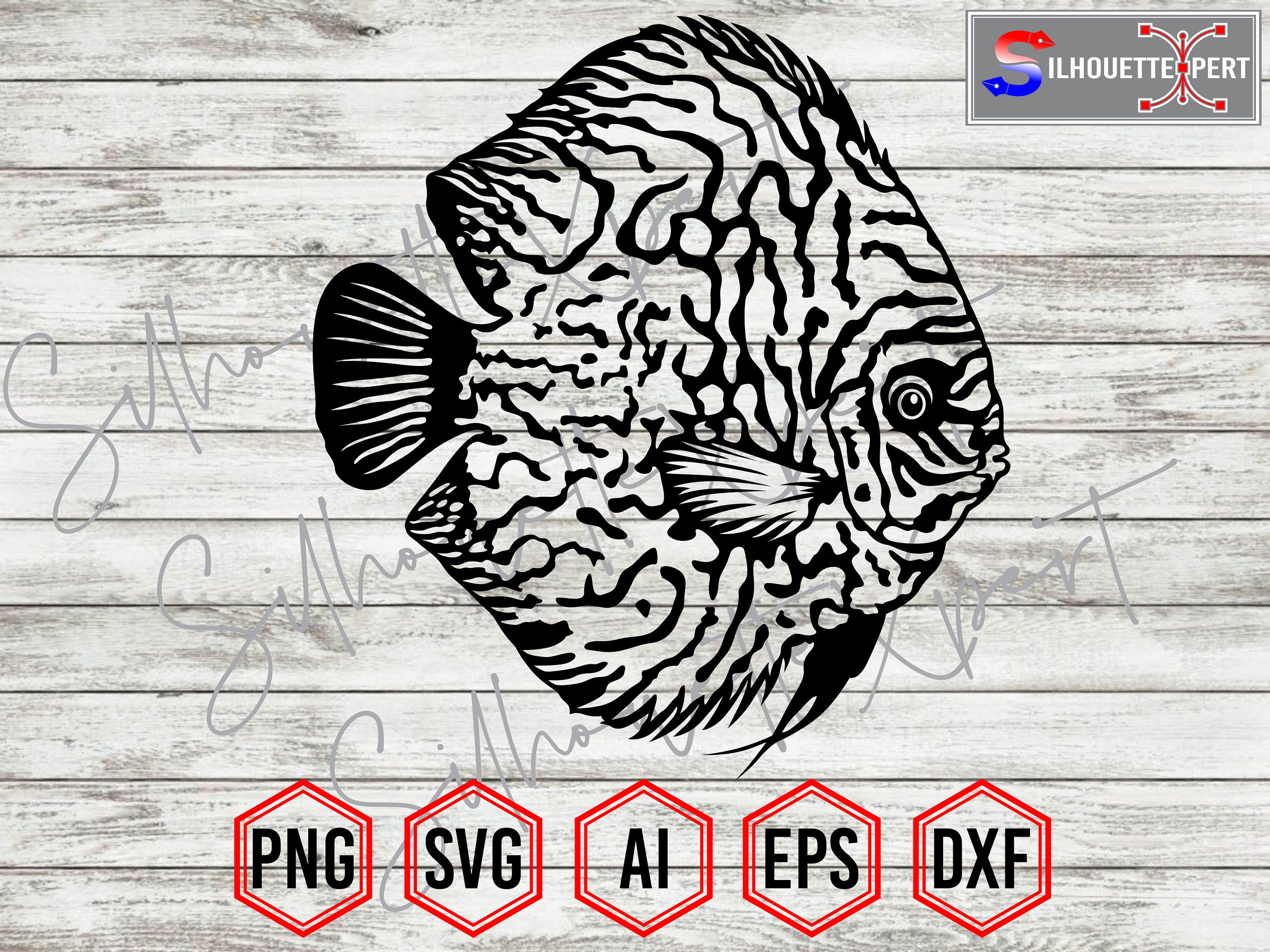 Discus Fisch Silhouette, Discus svg, Aquarium Fisch svg Clipart, Vektor ...