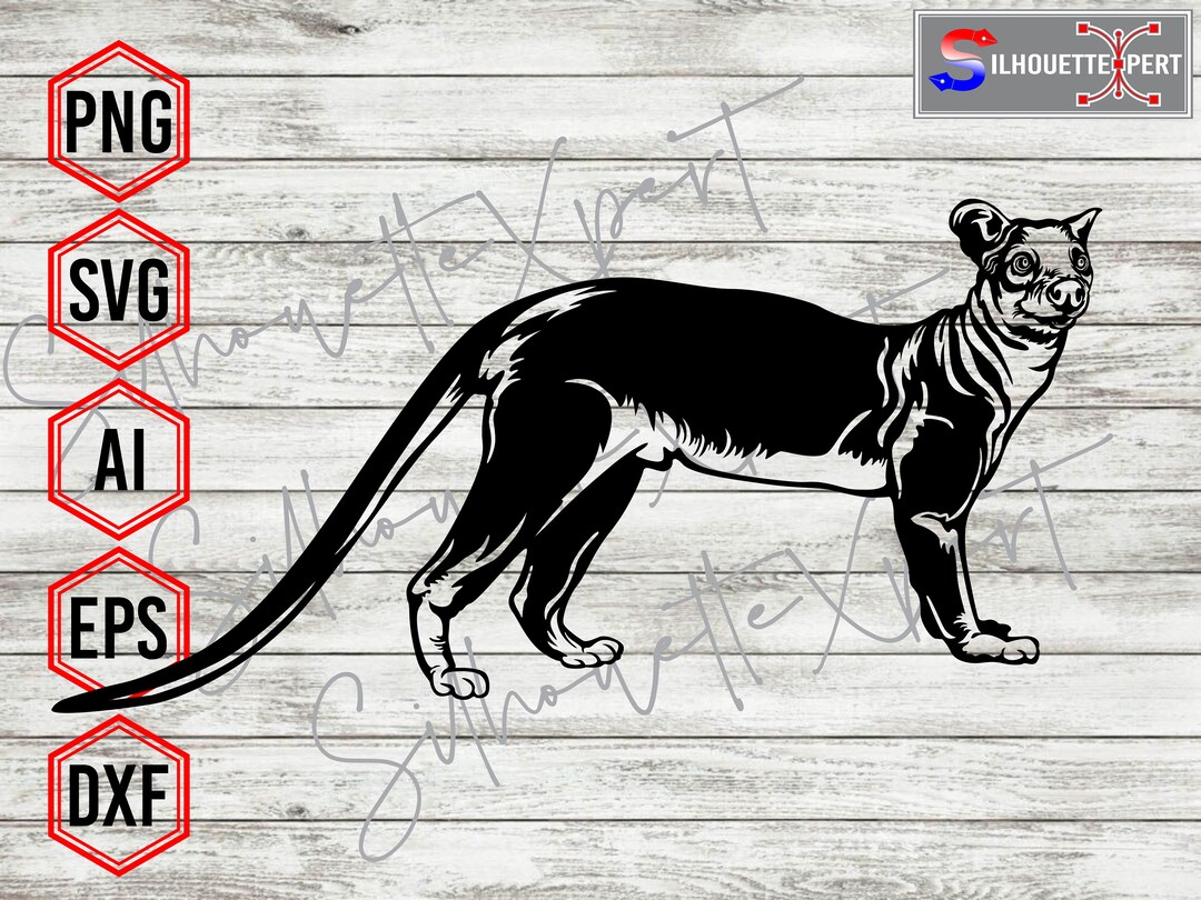 Sideview Standing Fossa Svg, Fossa Head Svg, Animal Svg, Wildlife Svg ...
